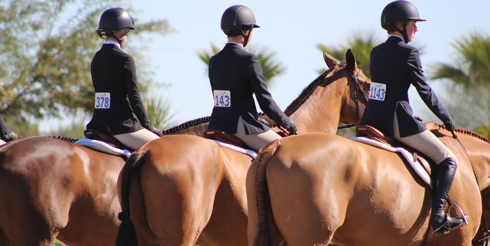 Kim Chadwick – Realtor – Real Estate & Design Services