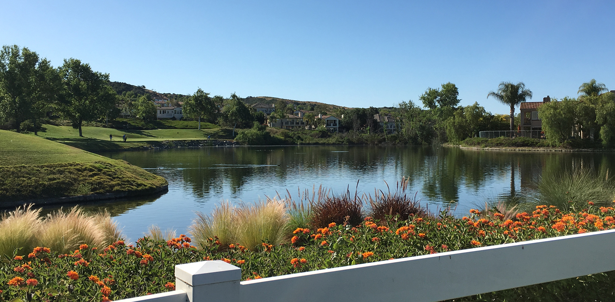 Kim Chadwick – Realtor – Real Estate & Design Services